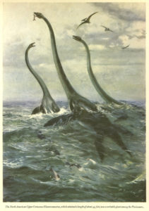 Elasmosaurus – Plesiosaur Directory
