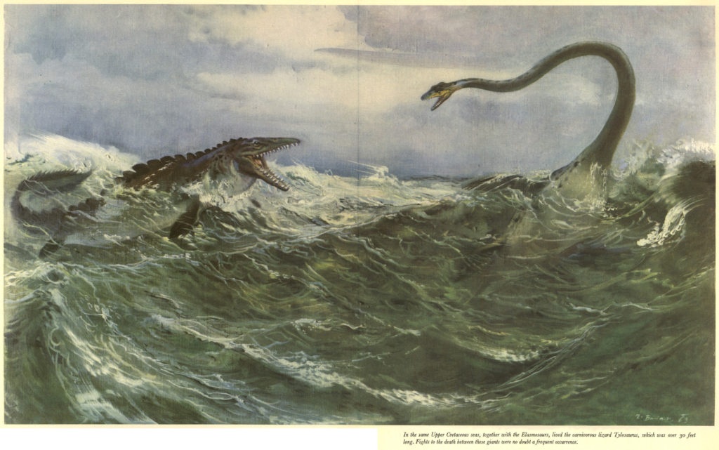 Elasmosaurus – Plesiosaur Directory