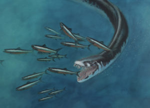 Elasmosaurus – Plesiosaur Directory