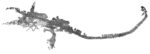 Neck function – Plesiosaur Directory