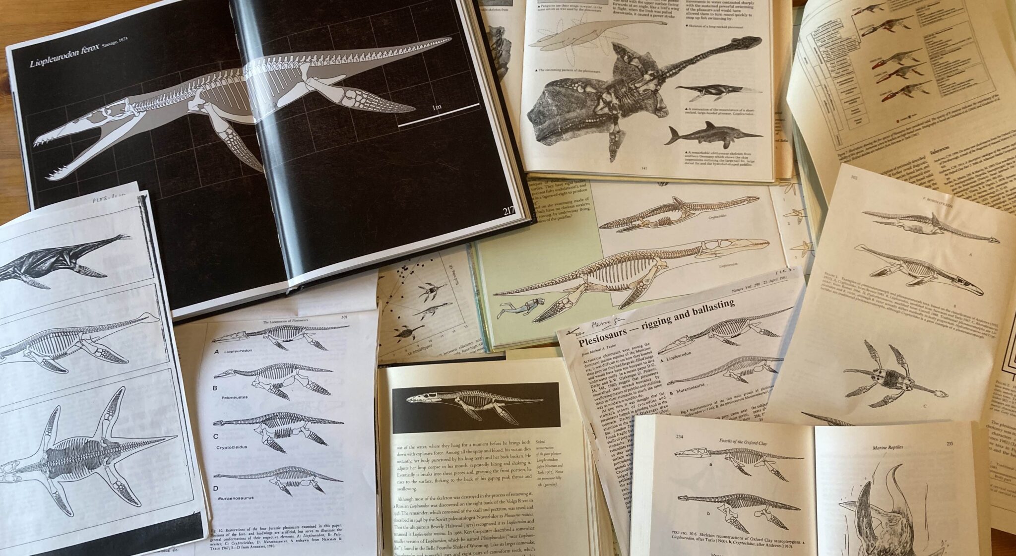 The Stewartby Pliosaur and the 1967 Liopleurodon reconstruction ...