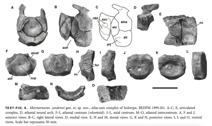 Marmornectes – Plesiosaur Directory